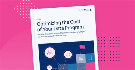 Guide Optimizing The Cost Of Your Data Program Thinkdata Works