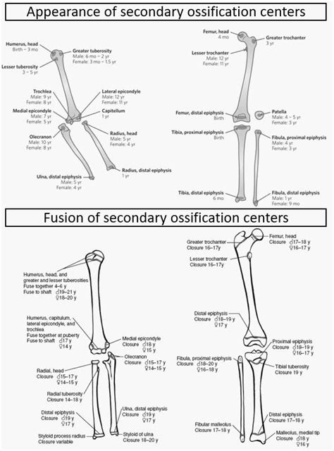 Ossification Center Feet