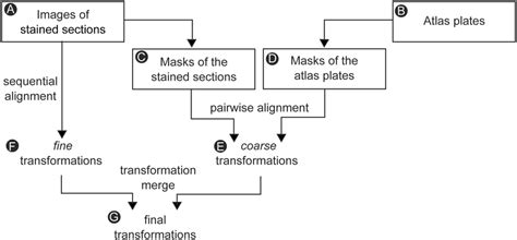 3 D Reconstruction Workflow Flowchart Showing The Processing Steps For