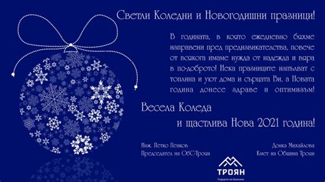 Светли Коледни и Новогодишни празници