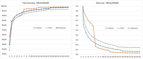 Comparing The Training Accuracy And Loss Values Of The Efficientnetb3 Download Scientific