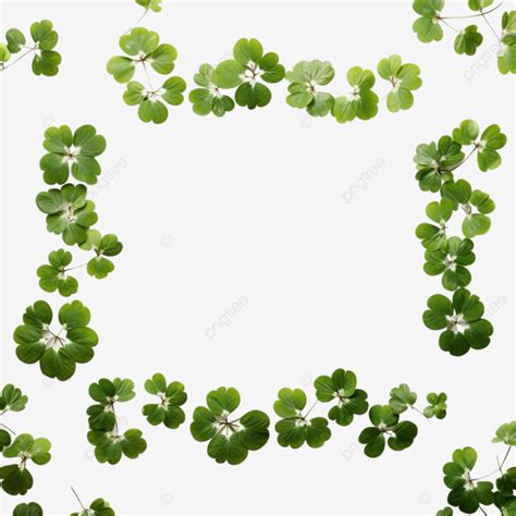 三葉草葉邊框 三葉草 圣帕特里克 幸运的png去背圖片素材免費下載，免摳圖設計圖案下載 Pngtree