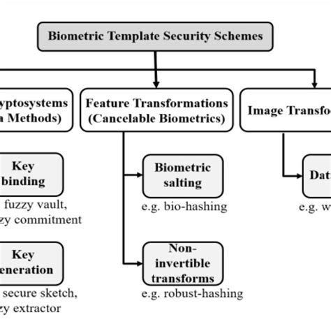 Biometric Template Security Schemes [40] Download Scientific Diagram