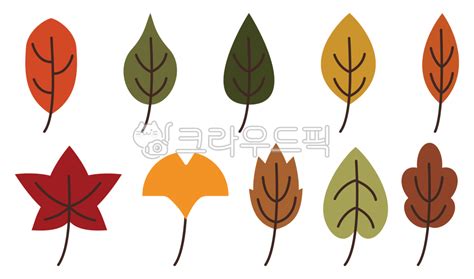 잎 가을 낙엽 단풍 식물 사진이미지일러스트캘리그라피 Yelly작가