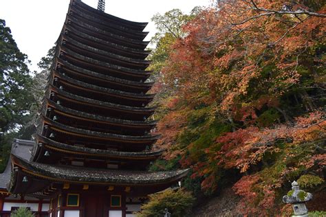 近鉄全線3日間フリーきっぷ談山神社長谷寺東寺1 カイラス書房 別冊 楽天ブログ