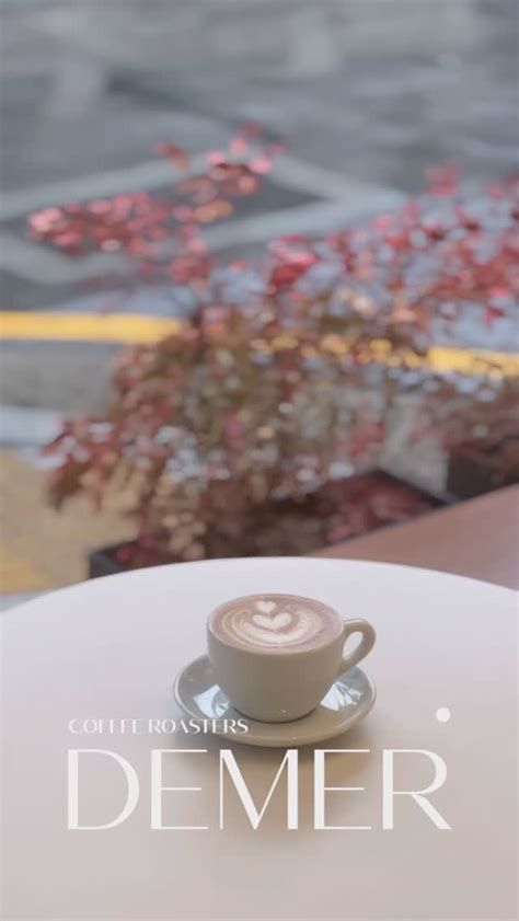 드메르 드메르커피로스터스 로스터리카페 부산카페 영도카페 영도커피 중앙동카페 40계단 비온뒤 포근해진 31절 입니다 오늘 부터는 방역패스 없이