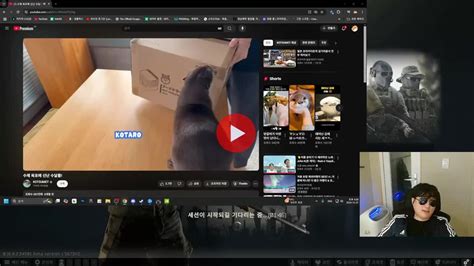댕균 와 고수달 행님 치지직 에펨코리아