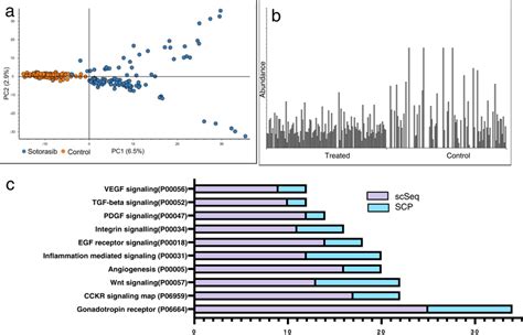 Single Cell Proteomics Provides Insight Into Cellular Response To Drug Download Scientific