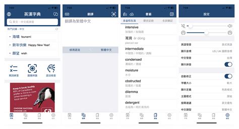 Analyzing The Dictionary And Translator Application Through The Ux