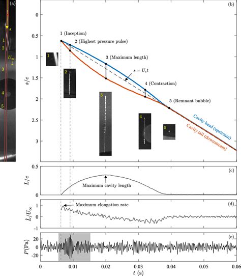 Spatial And Acoustic Measurements Of A Single Cavitation Event Download Scientific Diagram