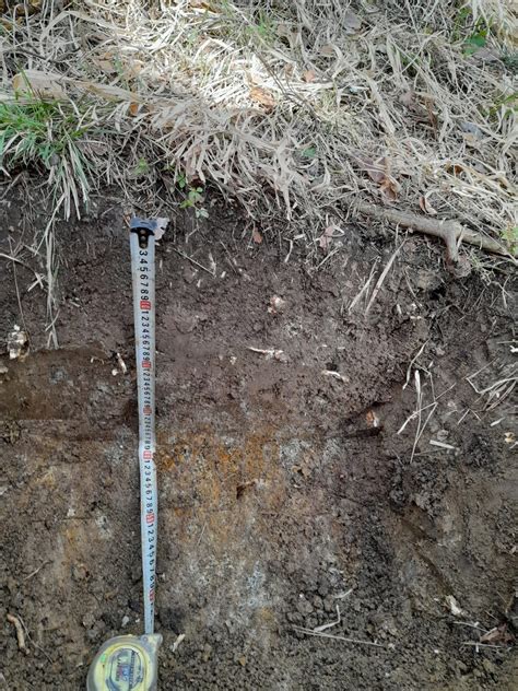 Дейности по проекта Проучване на взаимовръзки в системата „почва почвени микроорганизми