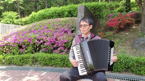 긴머리소녀 아코디언 Youtube