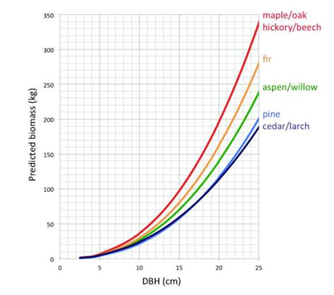 Photosynthesis Calculating Biomass And Carbon Storage In Trees Earth