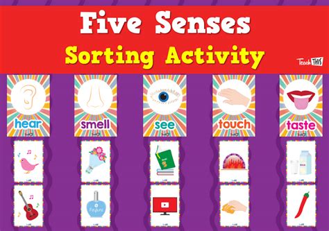 Five Senses Sorting Activity Teacher Resources And Classroom Games Teach This