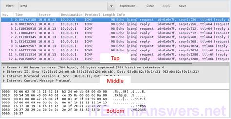 4428 Lab Using Wireshark To Examine Ethernet Frames Instructor