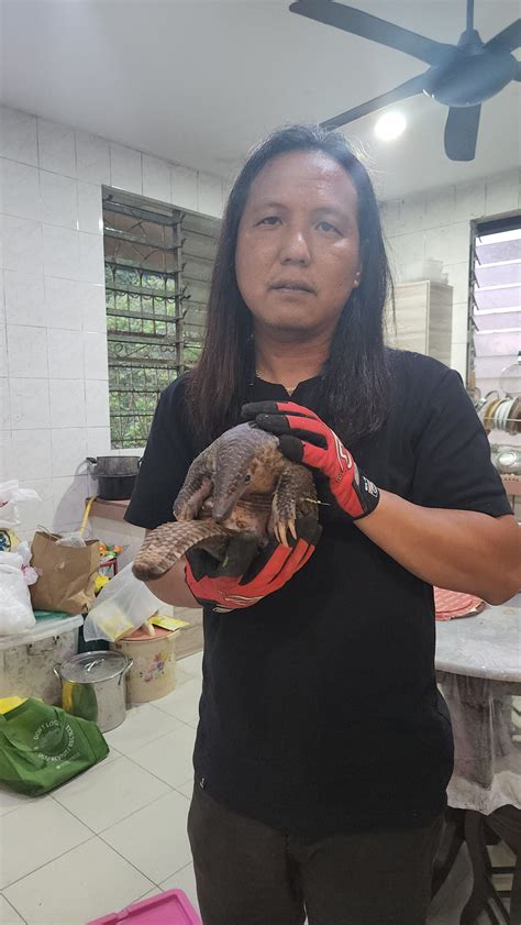 Pangolin Pangolin Updated Their Cover Photo