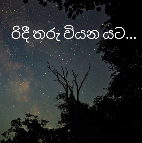 රිදී තරු වියන යට