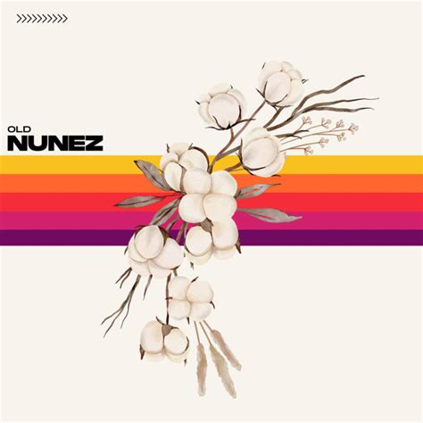 Old Nunez Bumpy Loop