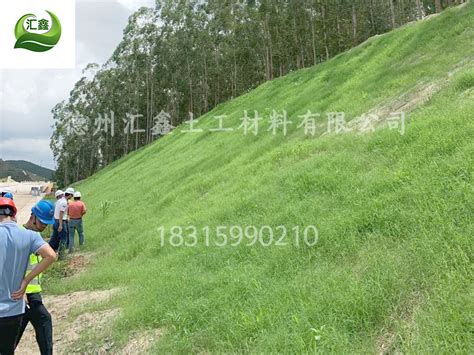 植物纤维毯 椰丝毯 植生毯 抗冲生物毯 生态毯 德州汇鑫土工材料有限公司