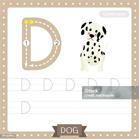 문자 D 대문자 추적 연습 워크 시트입니다 개 개에 대한 스톡 벡터 아트 및 기타 이미지 개 알파벳 D 건강관리와 의술