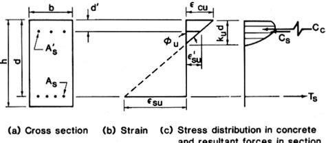 10 Which Shows The Strains And Resultant Forces On A
