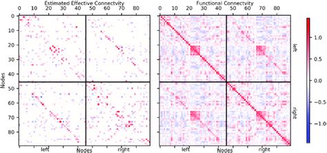 Left Panel Directed Connectivity Estimated With Our New Method From Download Scientific