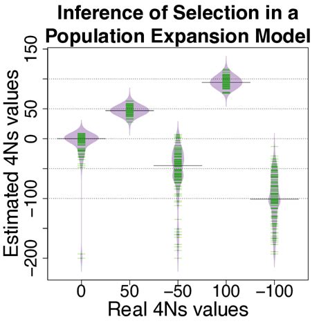 Estimation Of The Strength Of Natural Selection In A Population