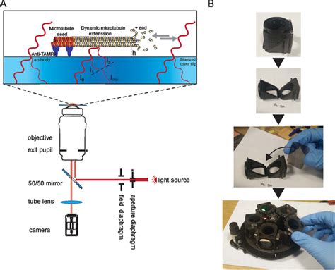 Implementation Of Interference Reflection Microscopy For Label Free High Speed Imaging Of