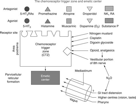 Nausea And Vomiting Anesthesia Key