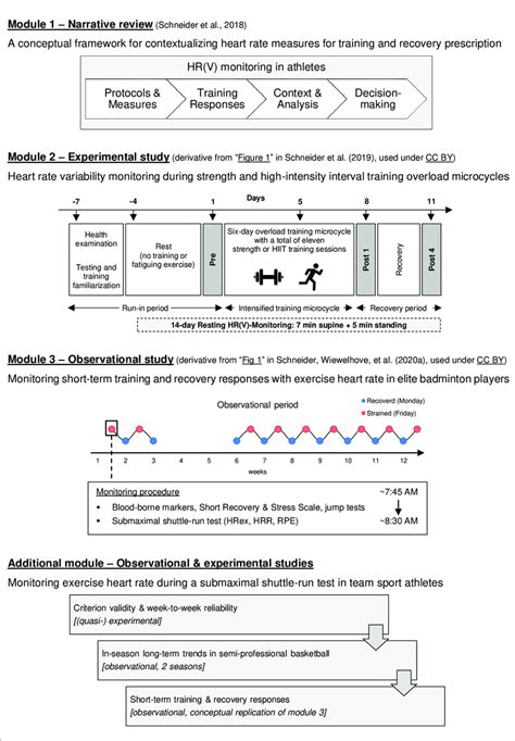 Methodological Overview Of The Doctoral Research Project Download Scientific Diagram