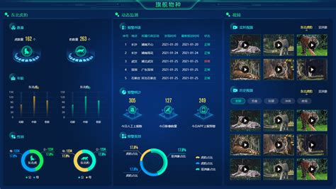 数据展示林业生态 可视图王华【68design】
