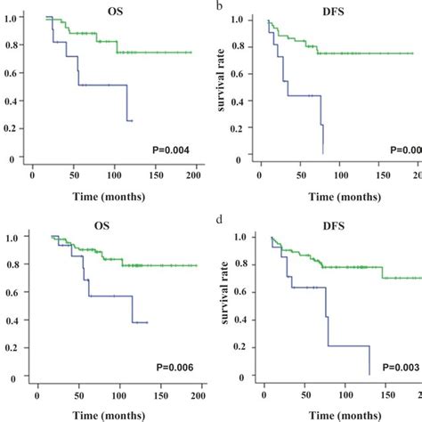 Comparison Of Outcome Between Mbc And Fbc Patients Within A Molecular Download Scientific