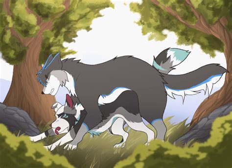 Rule 34 All Fours Animated Border Collie Canid Canine Canis Collie