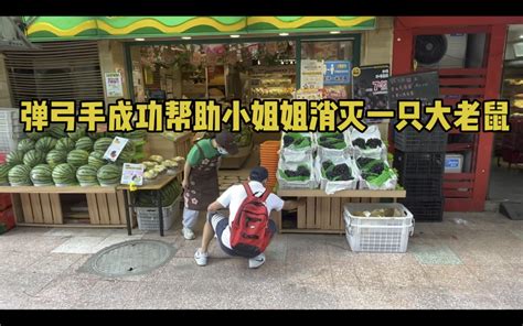 稳准狠的弹弓手，成功帮助水果店小姐姐消灭一只大老鼠 城市猎人飞哥 城市猎人飞哥 哔哩哔哩视频