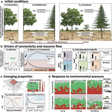 Interpretive Hypotheses And Scaling Functions A Stochastic Processes