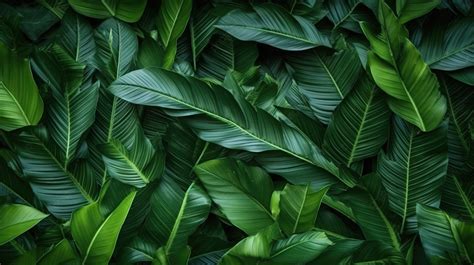 질감 있는 열대 녹색 잎이 있는 아름다운 자연 배경 열대림 열대 정글 정글 식물 배경 일러스트 및 사진 무료 다운로드 Pngtree