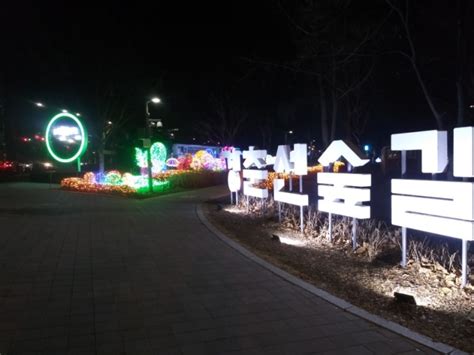 [서울여행] 밤 데이트 하기 좋은 곳 경춘선숲길 노원불빛정원 네이버 블로그