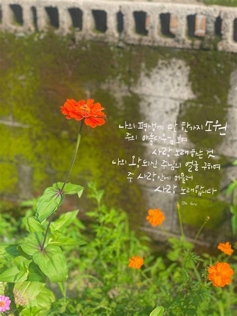 찬양캘리 소원 주님 내가 주의 장막을 네이버 블로그