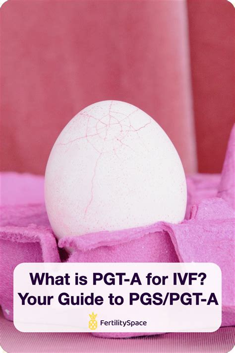 Pgt A Guide To Preimplantation Genetic Testing Of Embryos In Ivf Artofit