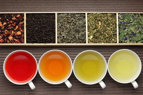 紅茶、綠茶、青茶喝茶選哪個好？營養師教你怎麼挑茶喝 今周刊