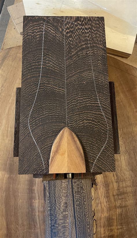 New 5 String Fretless Build