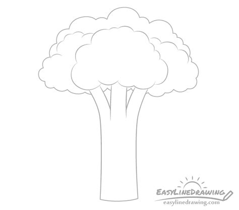 How To Draw Broccoli Step By Step EasyLineDrawing