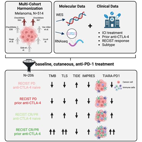 Prior Anti Ctla 4 Therapy Impacts Molecular Characteristics Associated