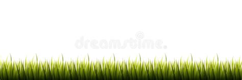 Boader Stock Illustrations 34 Boader Stock Illustrations Vectors