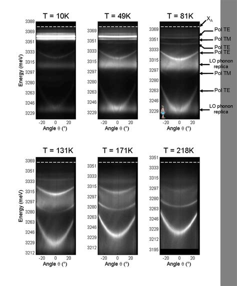 3 Temperature Dependency Of The Angle Resolved Photoluminescence Grey Download Scientific
