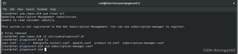 rhel8安装中文及拼音输入法 redhat8怎么设置中文 csdn博客