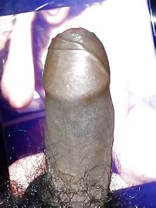 Ayesha Pictures Search Galleries