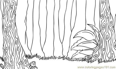 Coloring Pages To Draw A Forest Scene Step 7 Natural World Forest Free Printable Coloring