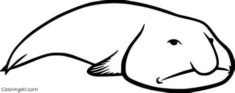 7 Free Printable Blobfish Coloring Pages In Vector Format