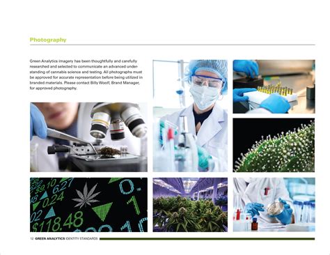 Cut Once Branding And Design Co — Green Analytics Brand Identity